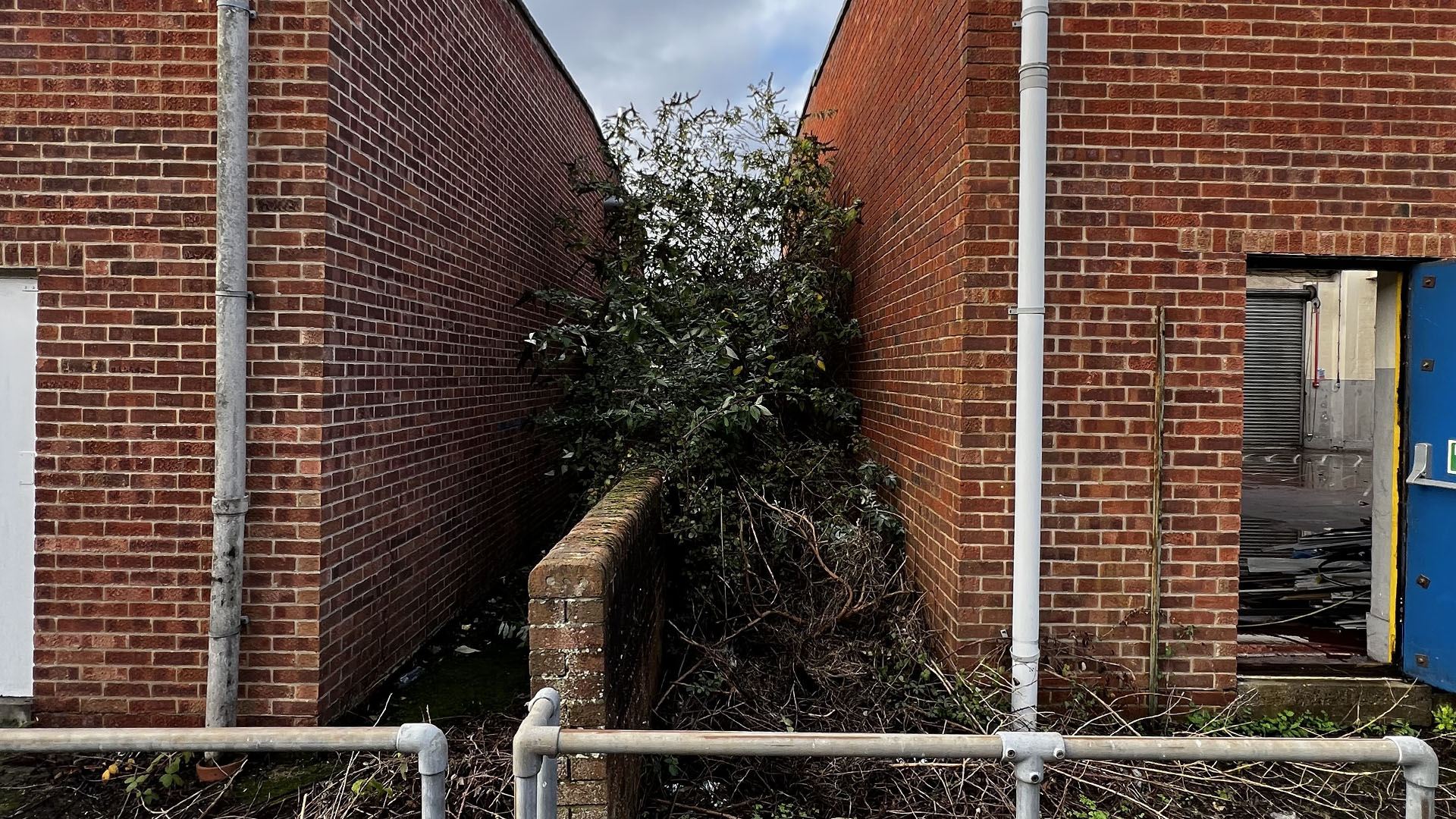 Expert Guide to Party Wall Etiquette Exeter
